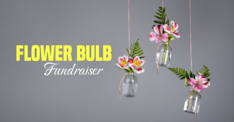 31 Softball Fundraiser Ideas to Boost Your Team's Success