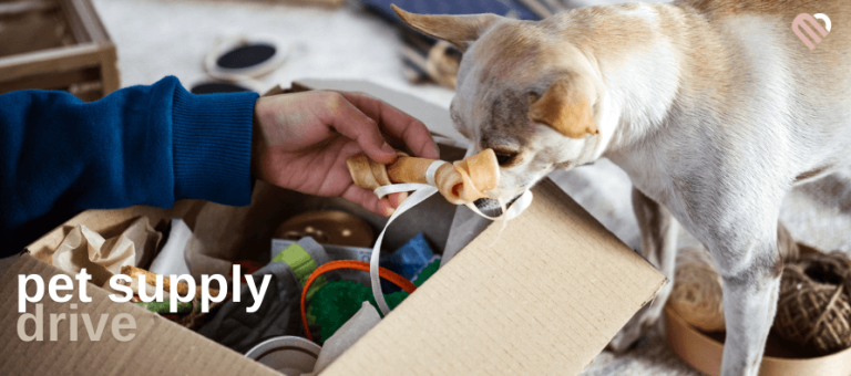 15 Donation Drive Fundraisers That Boost Your Campaign